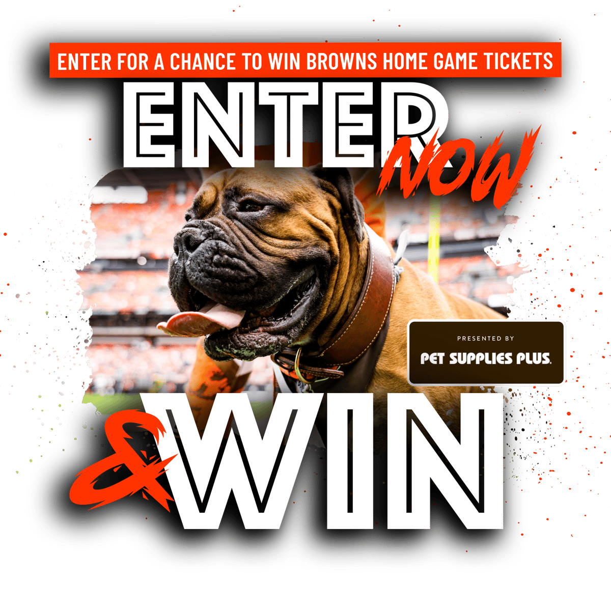 Pet Supplies Plus Ticket Giveaway Pet Supplies Plus Pet Supplies Plus Ticket Giveaway Pet Supplies Plus