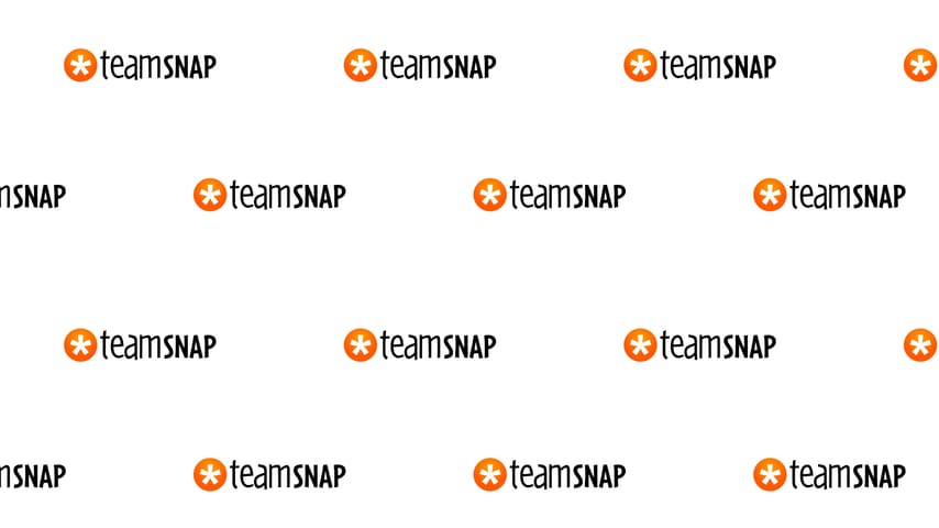TeamSnap Spring Spin to Win - TeamSnap