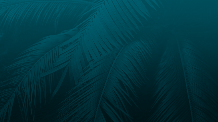 AFC South Rivalry Vote to Win